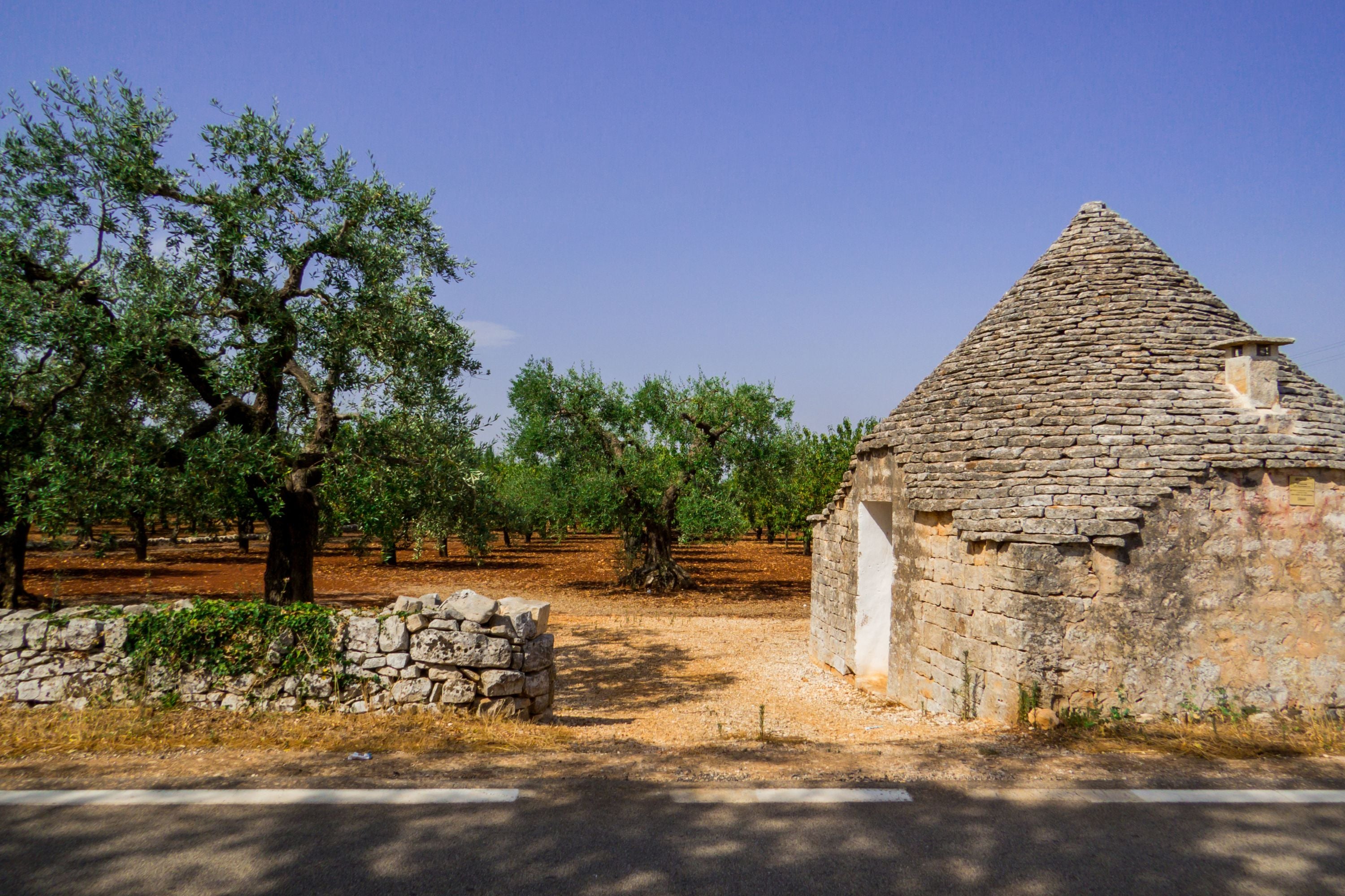 Apulien – Wein unter Freunden