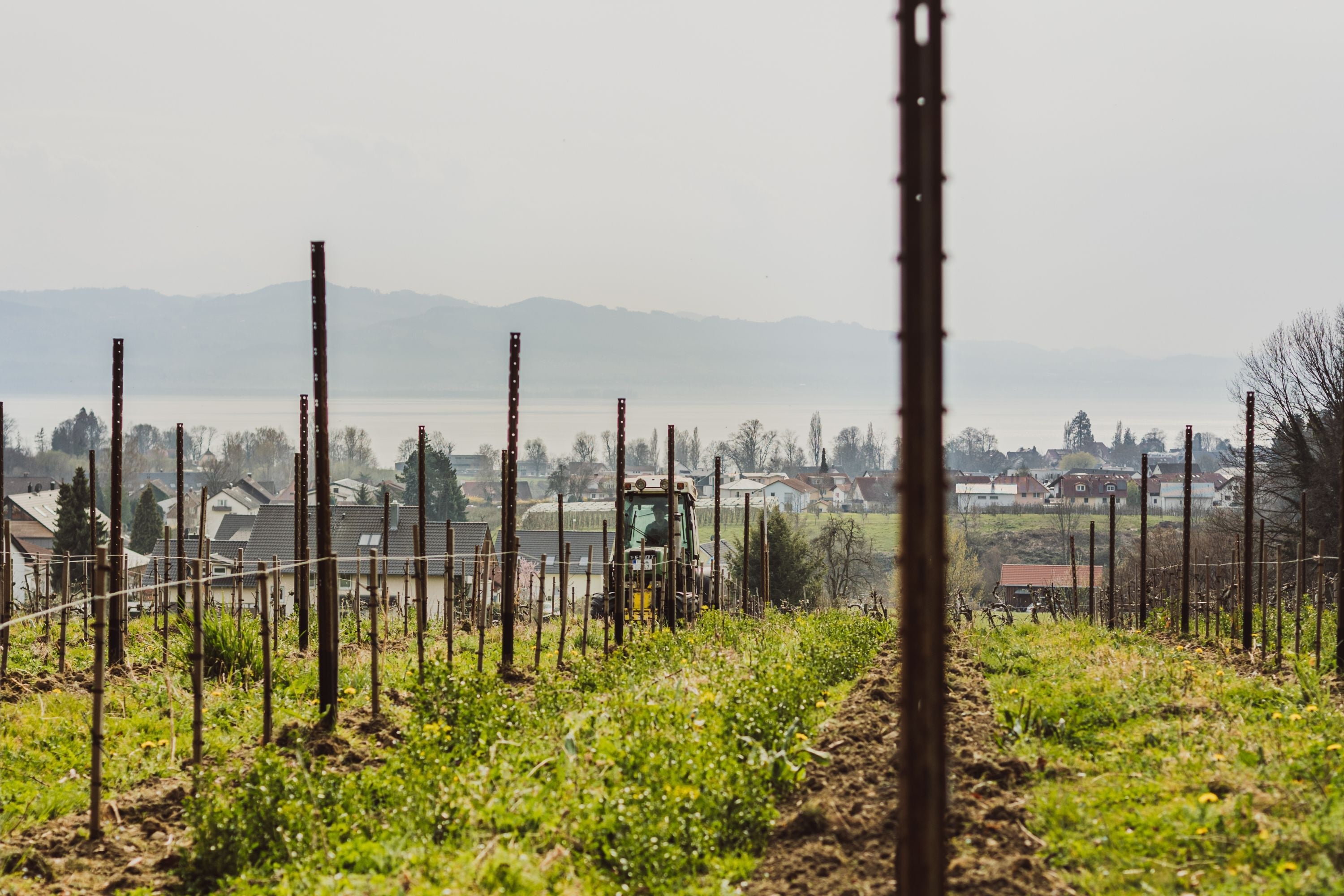 Weingut Lanz – Wein unter Freunden