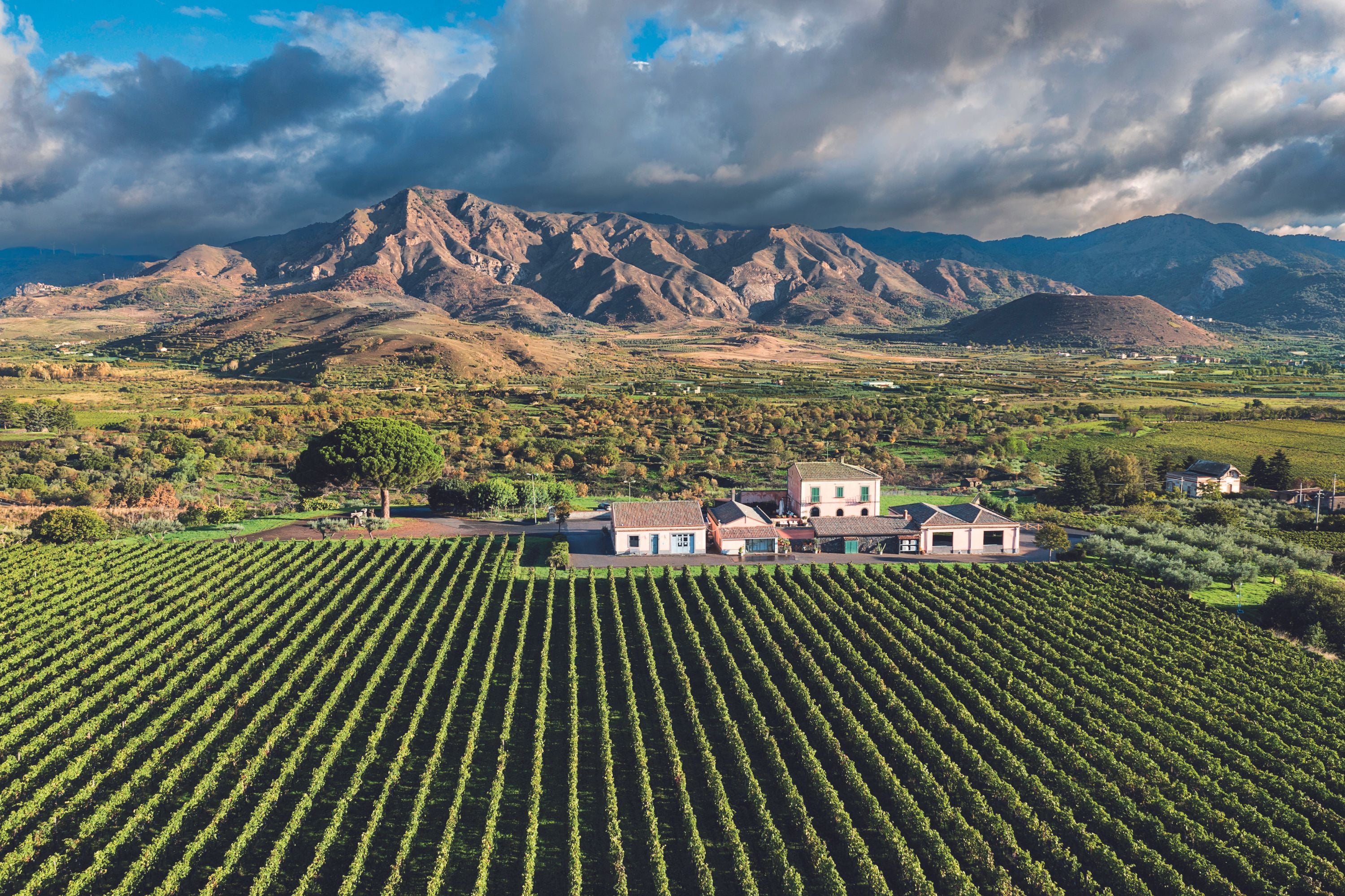 Cottanera – Wein unter Freunden