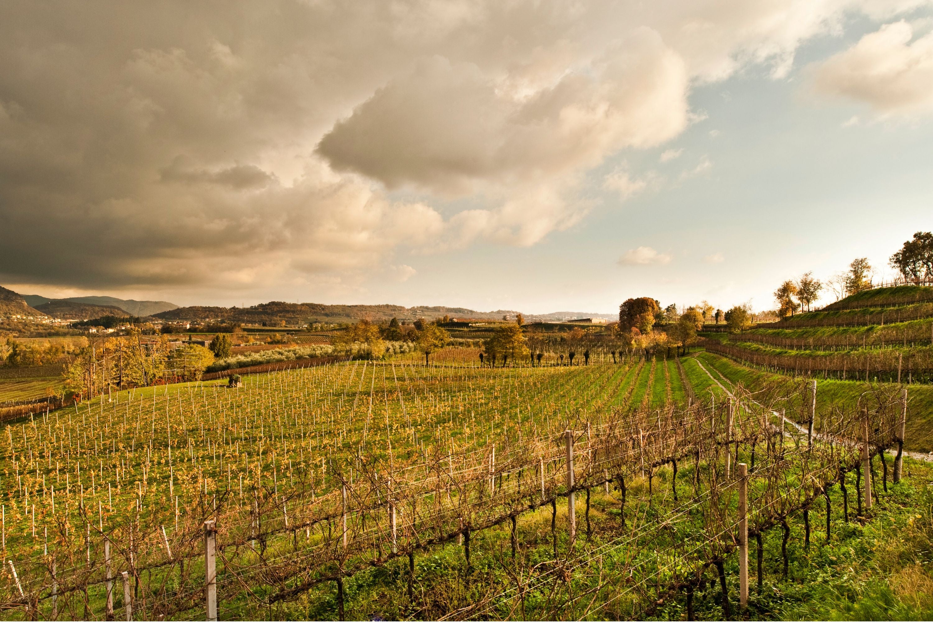 Lombardei – Wein unter Freunden