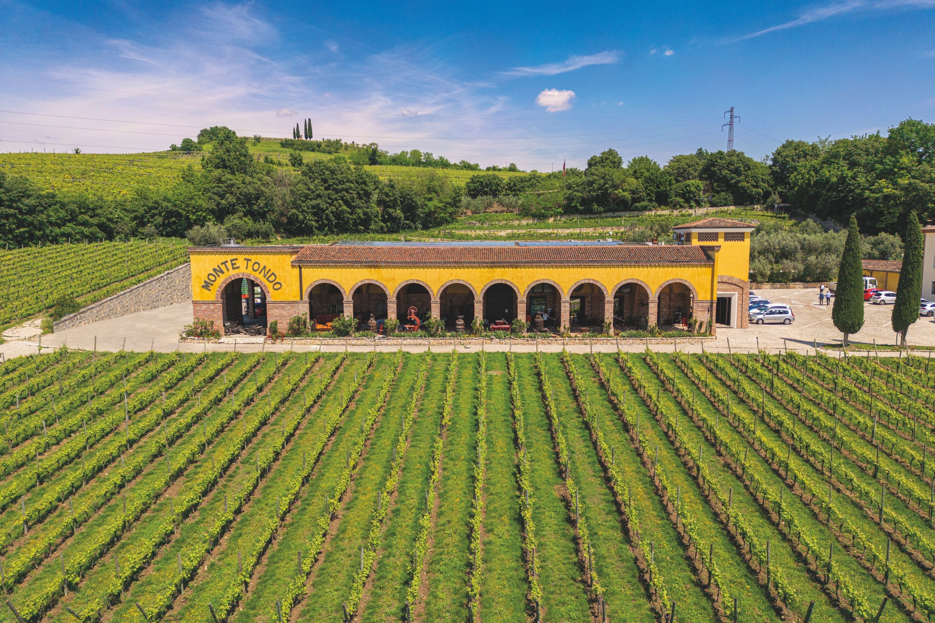 Monte Tondo – Wein unter Freunden