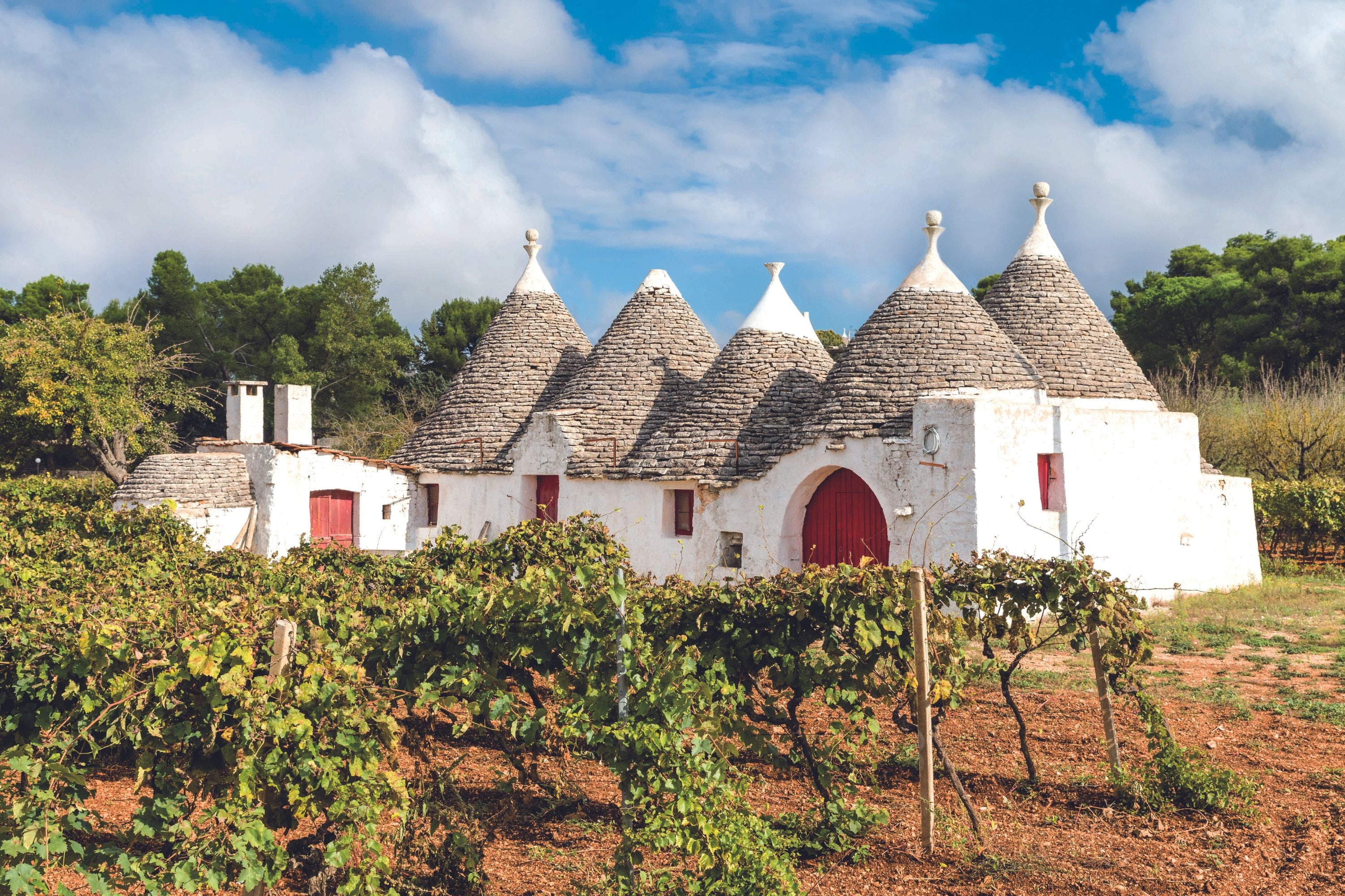 Tagaro – Wein unter Freunden