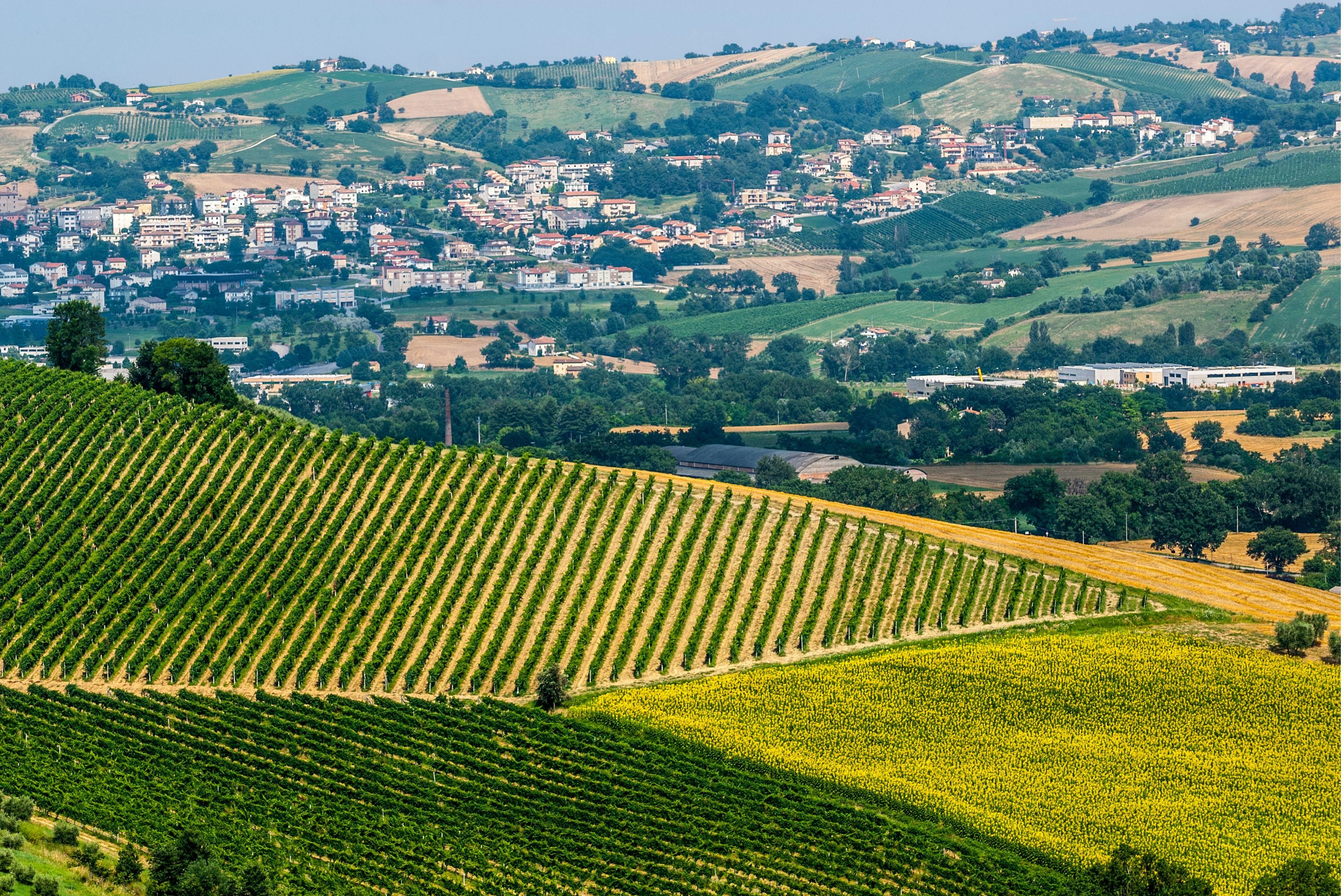 Marken – Wein unter Freunden