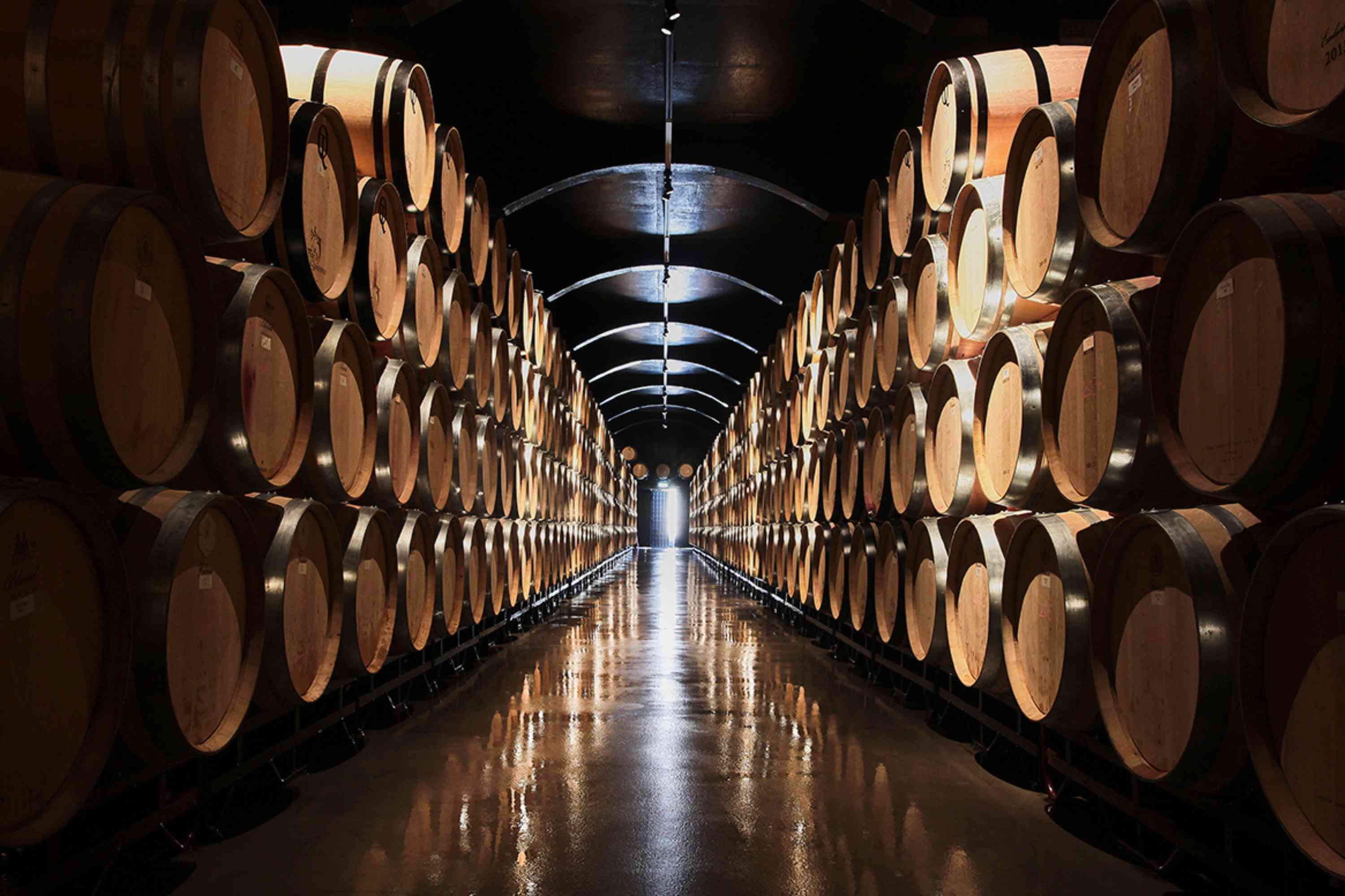 Quinta Do Crasto – Wein unter Freunden