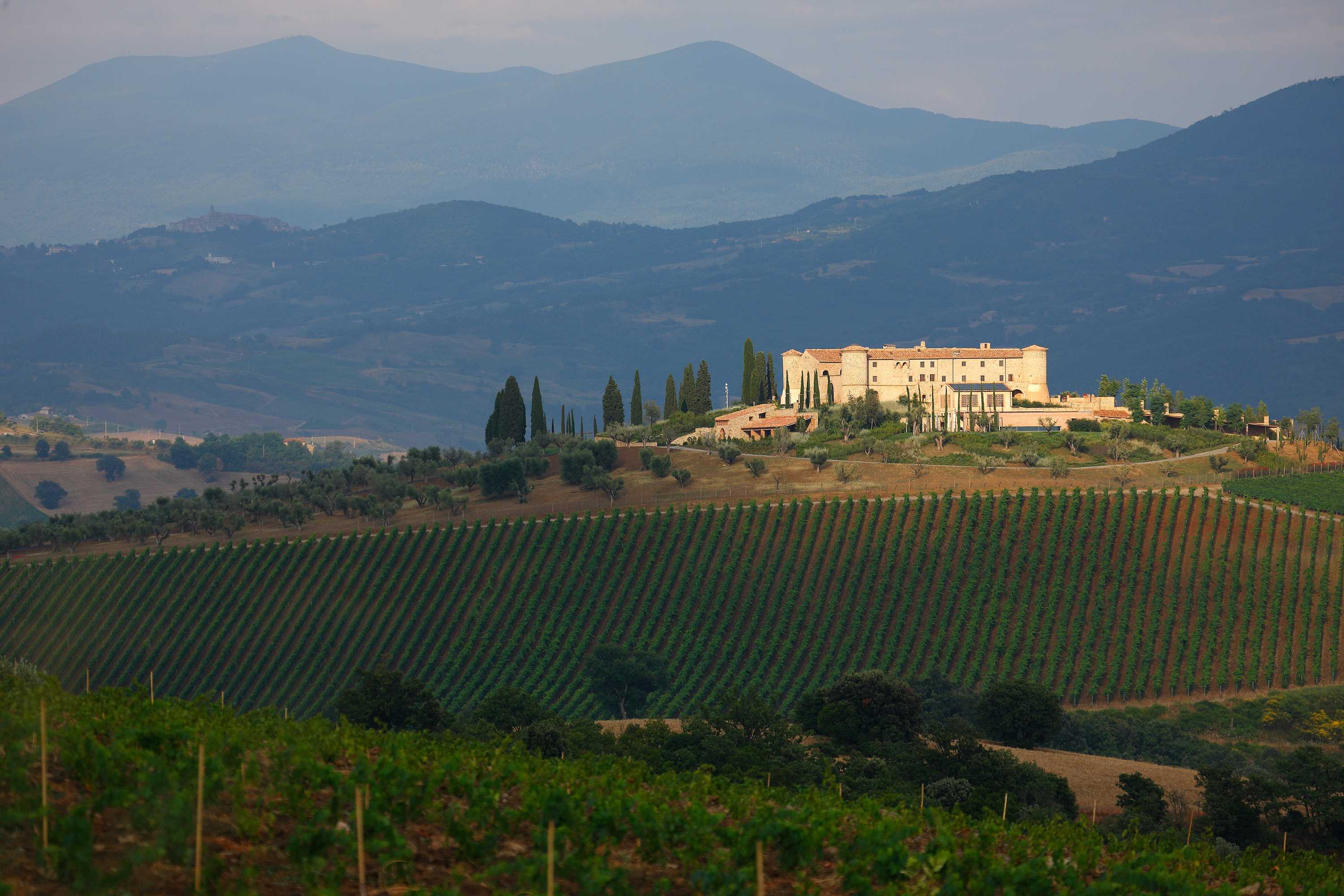 Colle Massari – Wein unter Freunden