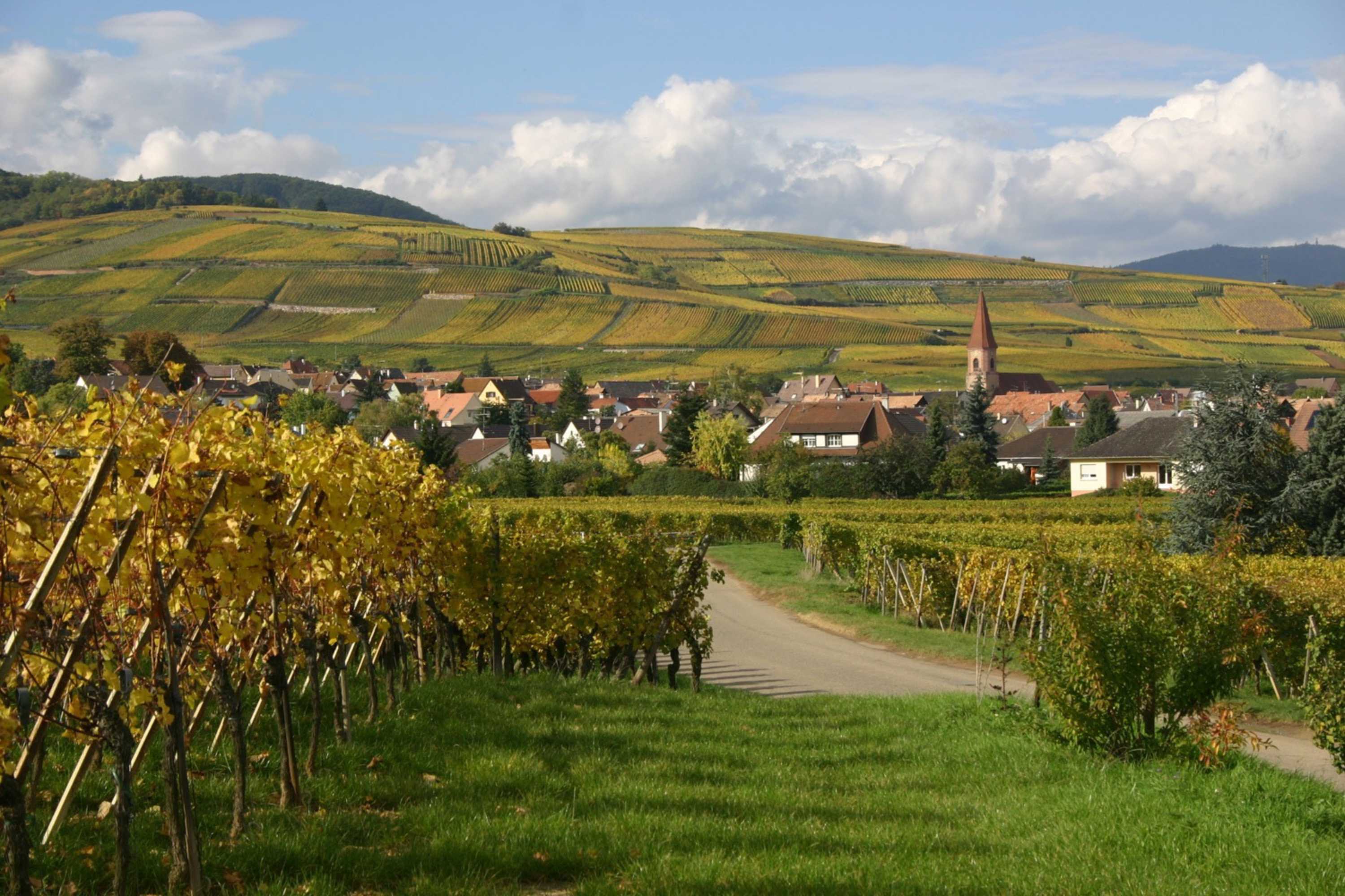 André Stentz – Wein unter Freunden